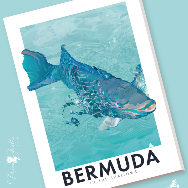 Pixie Grotto In The Shallows - TABS Bermuda