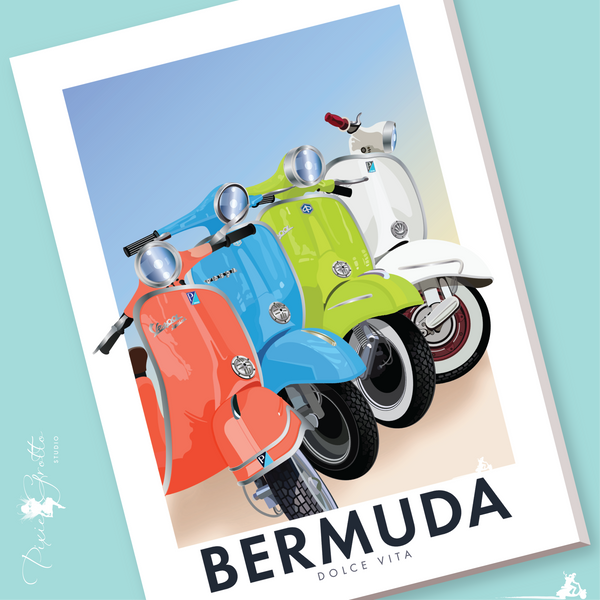 Pixie Grotto Dolce Vita - TABS Bermuda