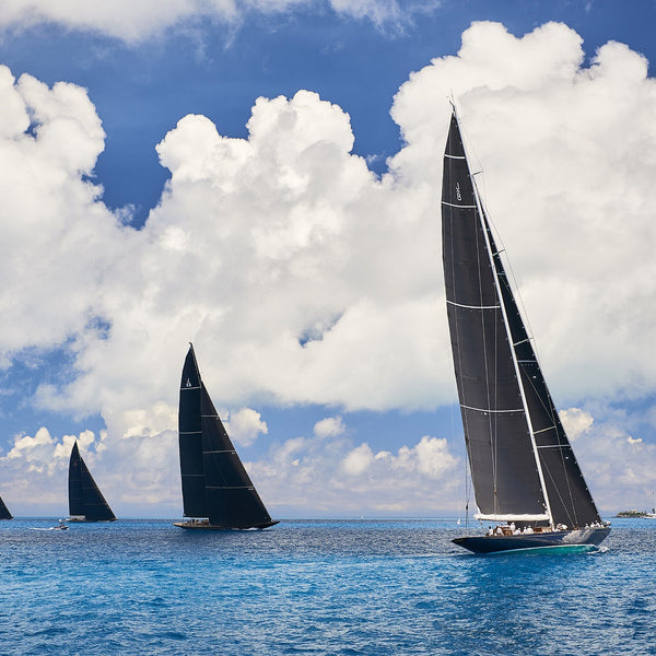 Gavin Howarth Print - J Class Racing - TABS